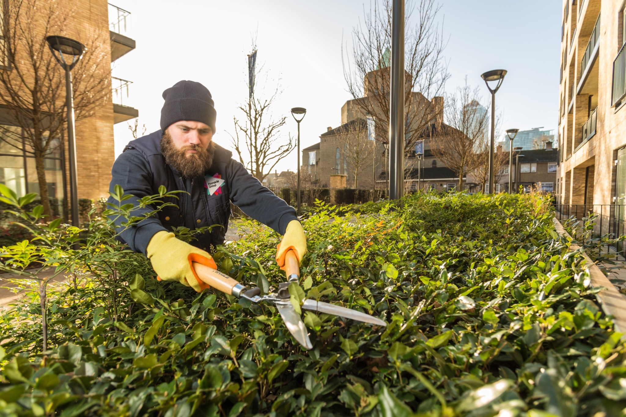 Pinnacle Wins Place on Six Lots of Major Government FM Framework ...