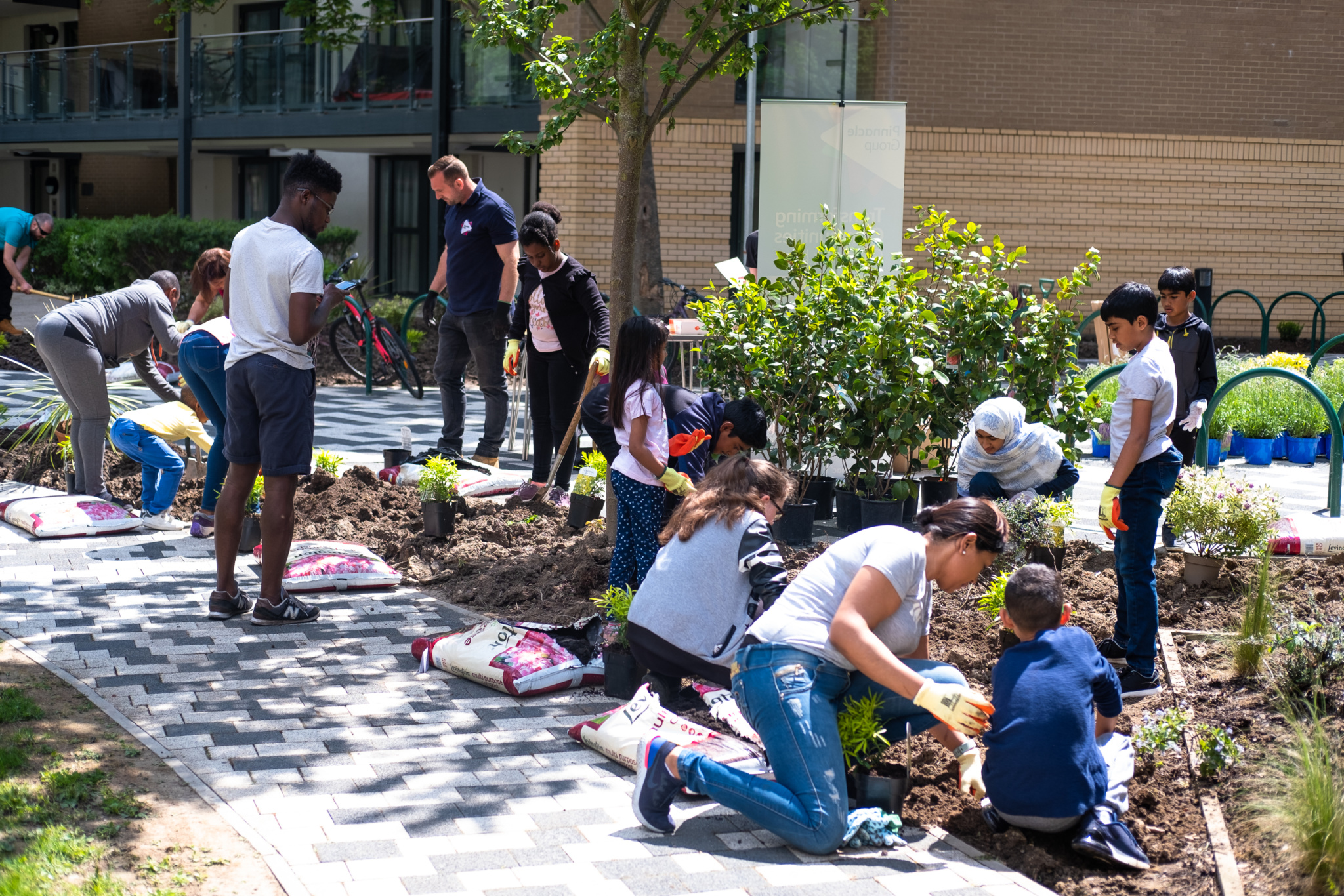 Pinnacle Group Sets Path to Reach Net Zero Targets - Pinnacle Group