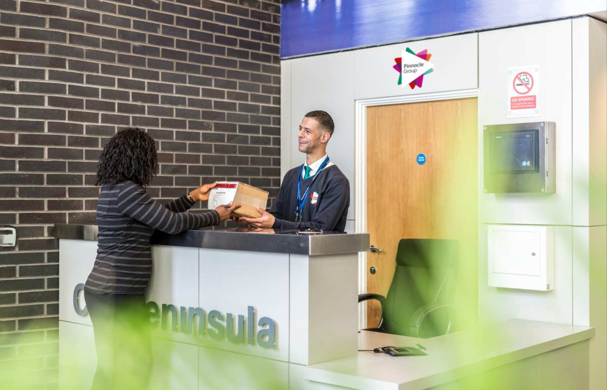 Security and Concierge - Pinnacle Group